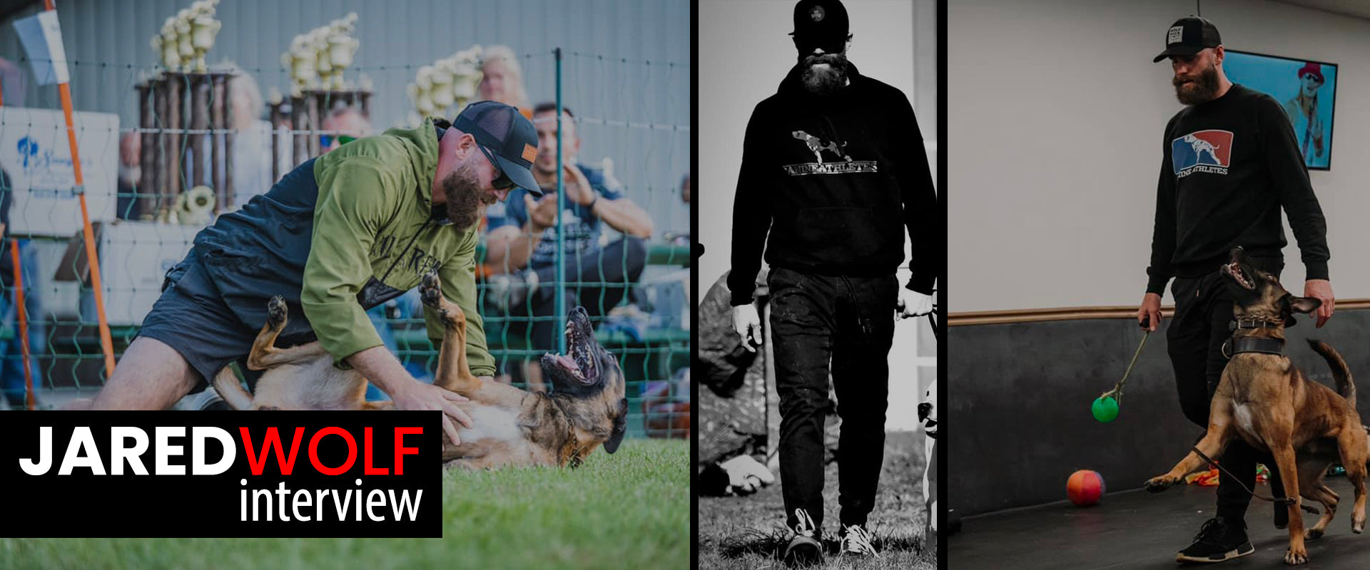 Interview with Jared Wolf - Canine Athletes