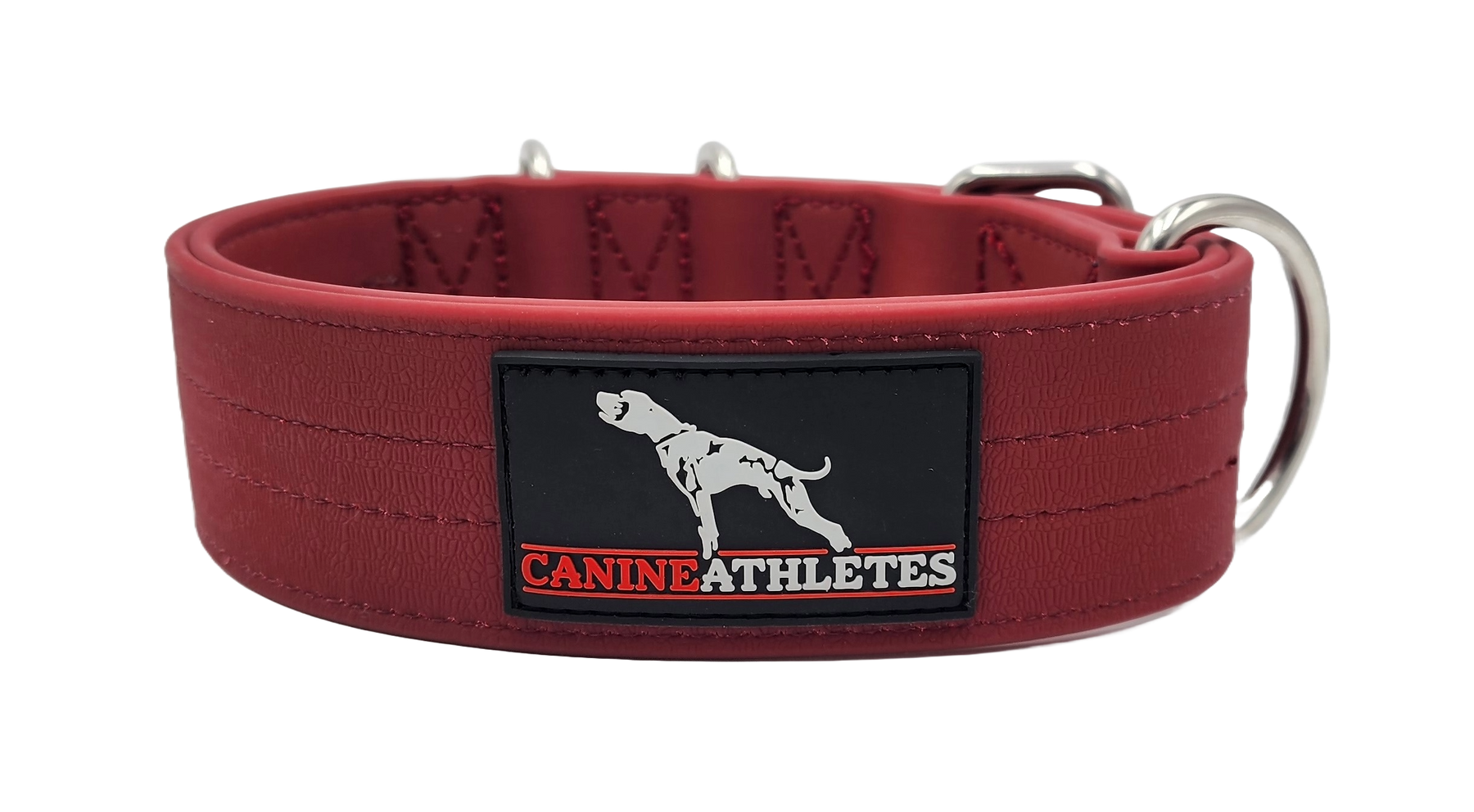 Dog Collars for Training Sporting Dogs by Canine Athletes