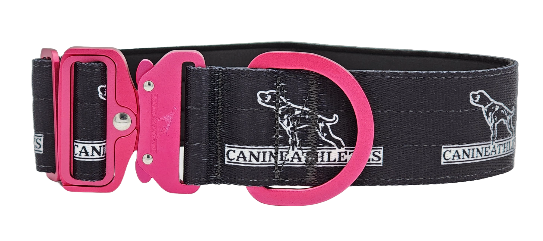 Dog Collars for Training Sporting Dogs by Canine Athletes