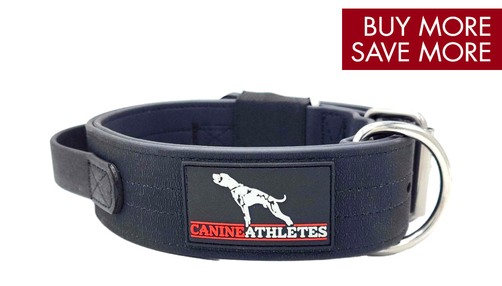 Dog Collars for Training Sporting Dogs by Canine Athletes