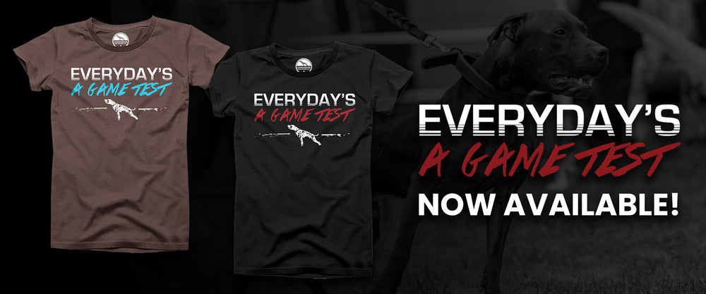 Canine Athletes - Serious Dogs For Serious People