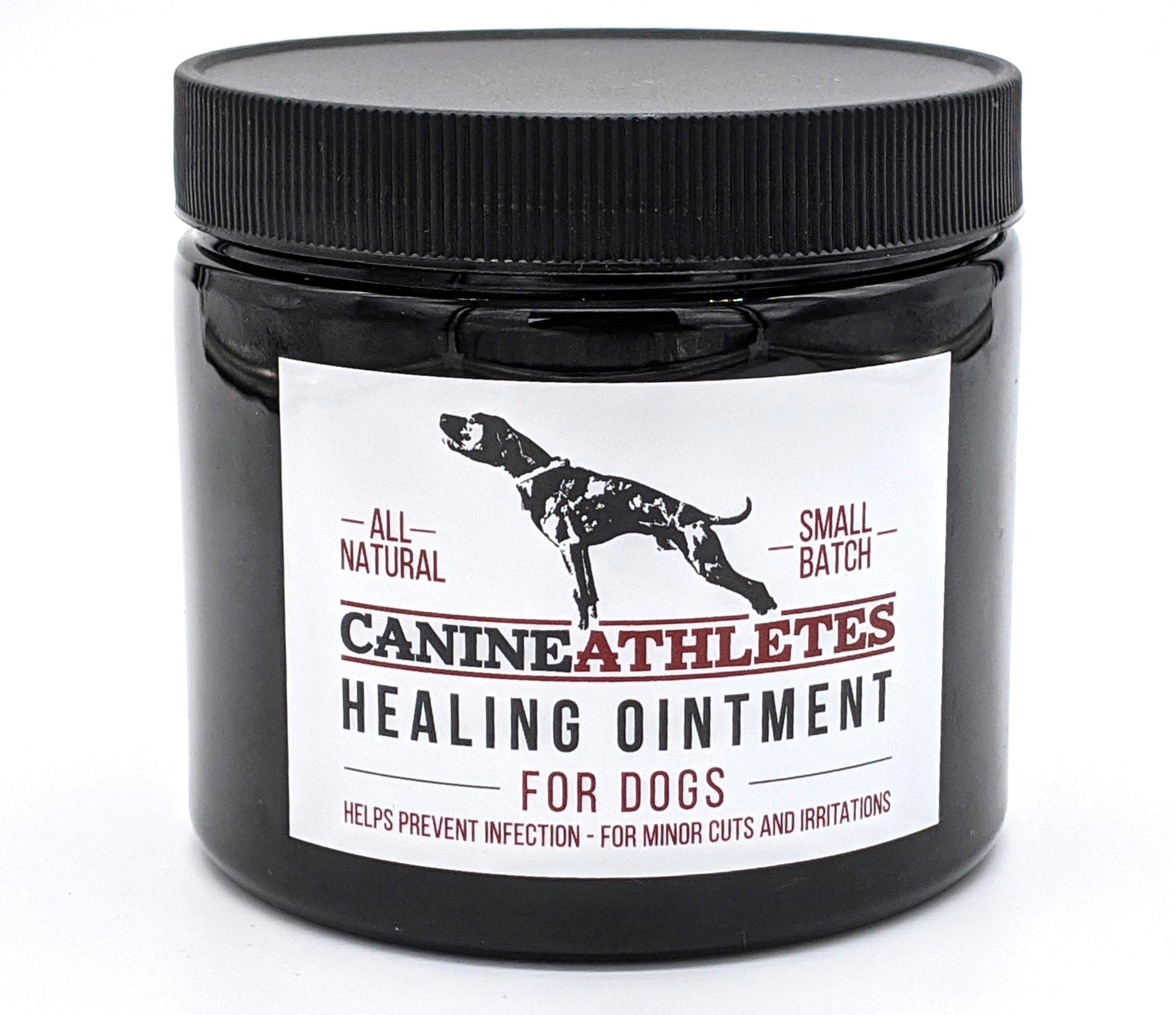 Accessories - Canine Athletes