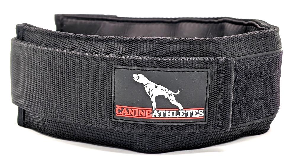 Dog Collars for Training Sporting Dogs by Canine Athletes