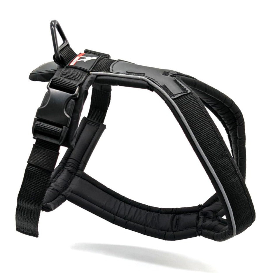 High-Grade Equipment & Apparel by Canine Athletes